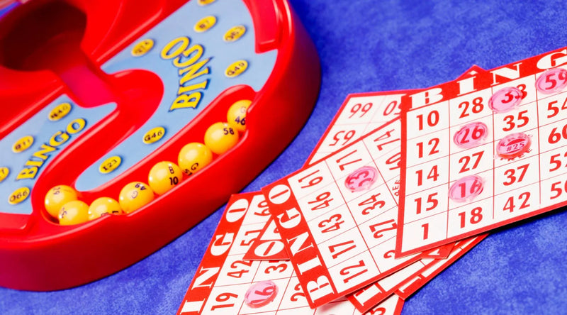 How to Play Bingo, The Ultimate Game of Chance – Toy Kingdom