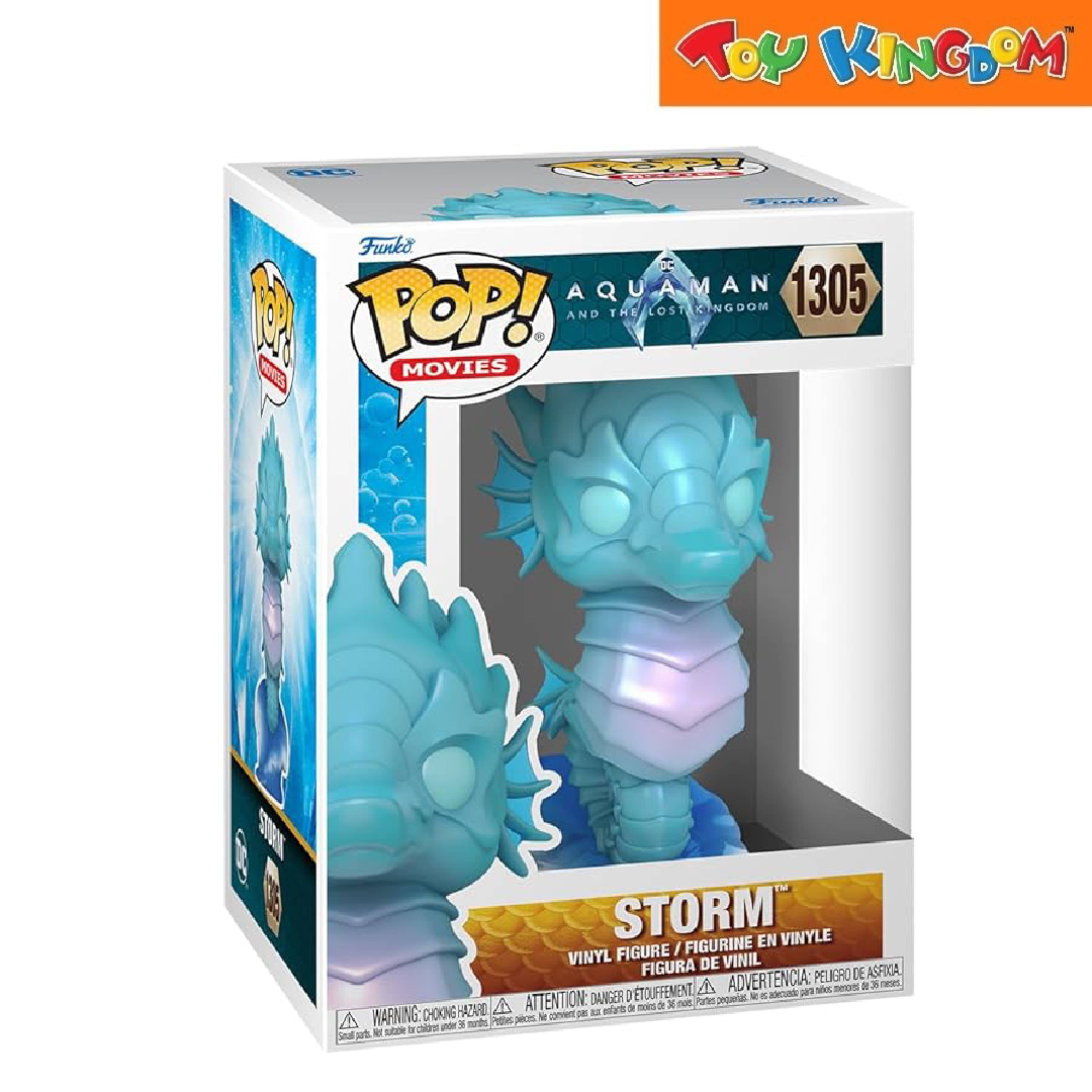 Funko Pop! Aquaman And The Lost Kingdom Storm Vinyl Figure – Toy Kingdom